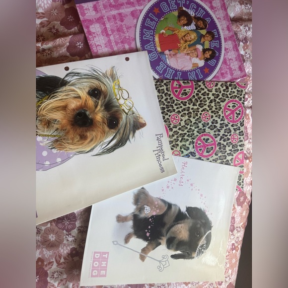Disney | Office | Adorable Early 200s Girly Portfolio Folders | Poshmark